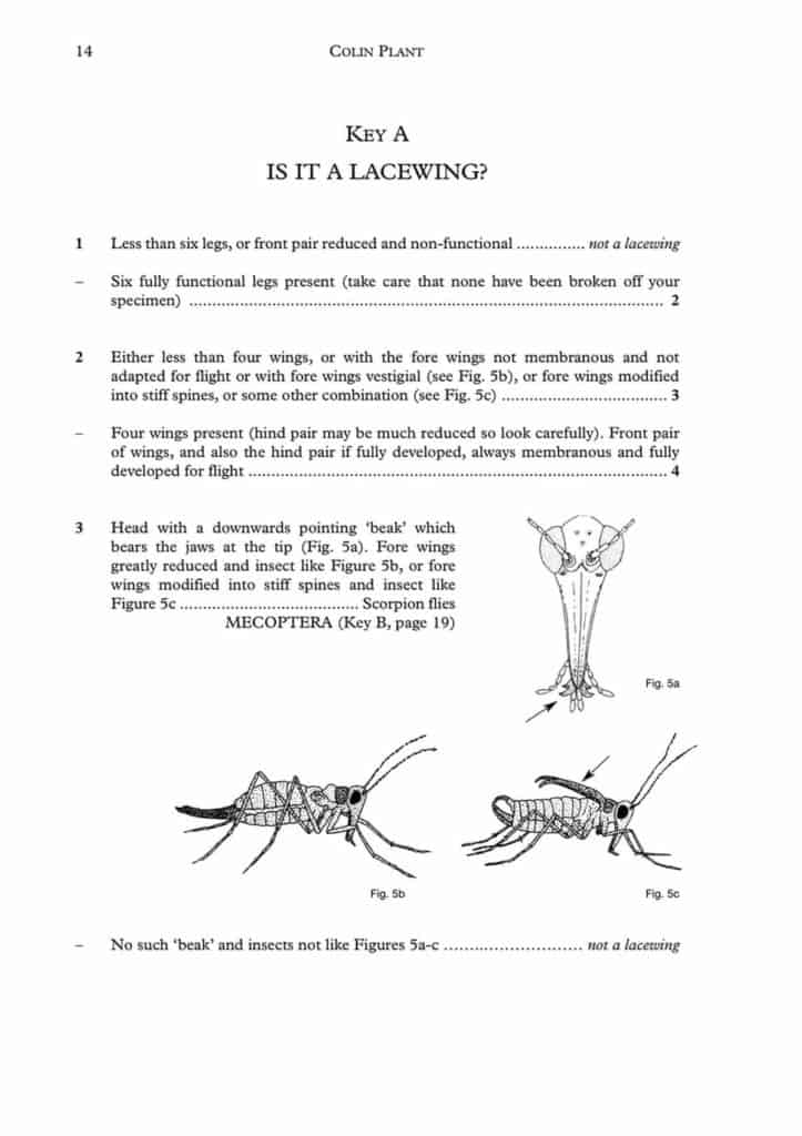 Lacewings AIDGAP | Identification guide | Field Studies Council