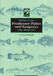 Identifying Freshwater Invertebrates with Microscopes – Field Studies ...