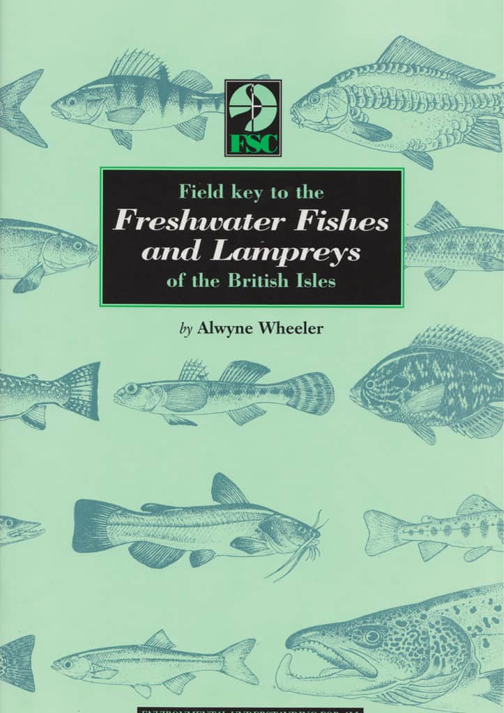 Freshwater invertebrates AIDGAP | Identification Key | Field Studies ...