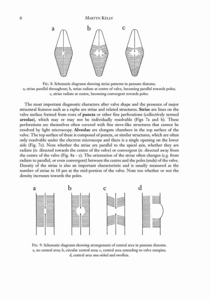 Diatoms AIDGAP | Identification Key Paperback | Field Studies Council