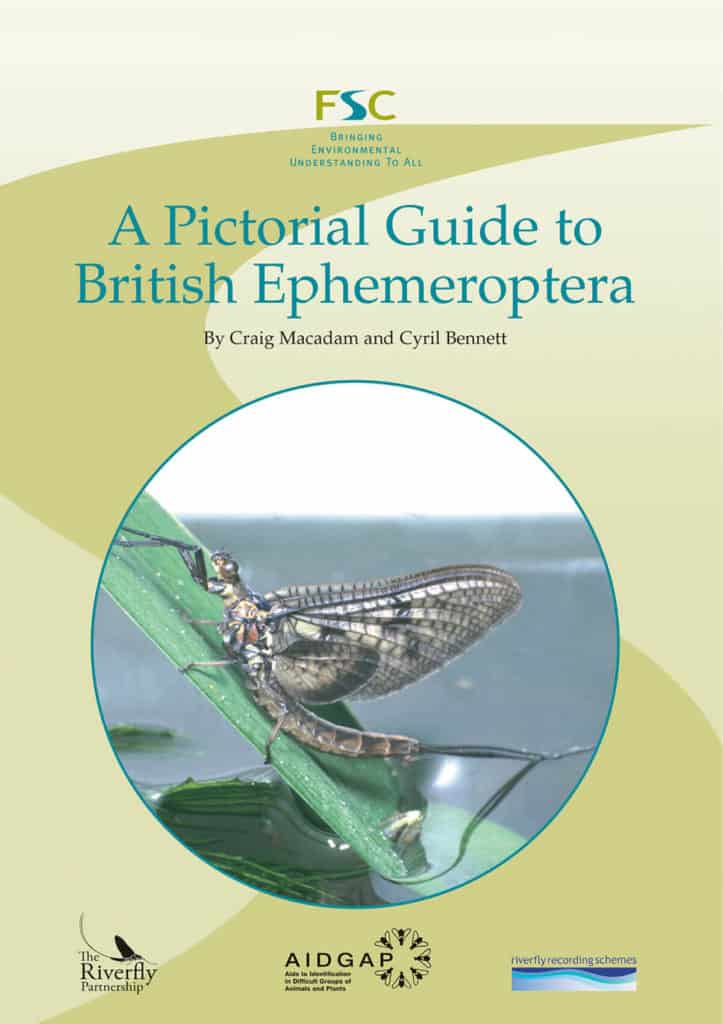 Fish guide – Field Studies Council