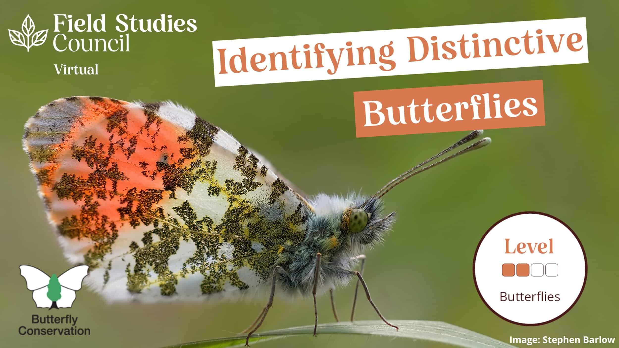 Online Courses – Field Studies Council