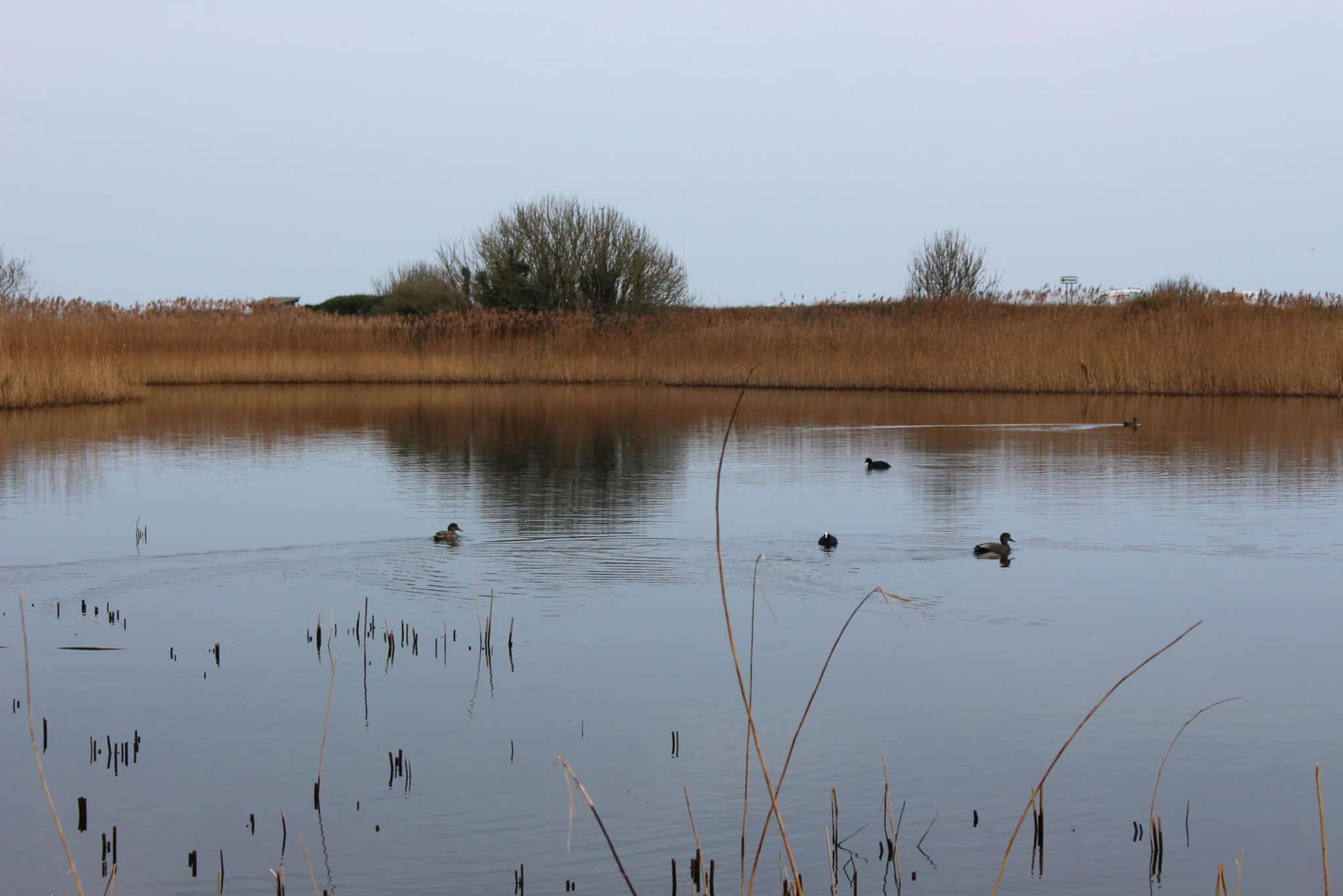 Research at Slapton Ley – Field Studies Council