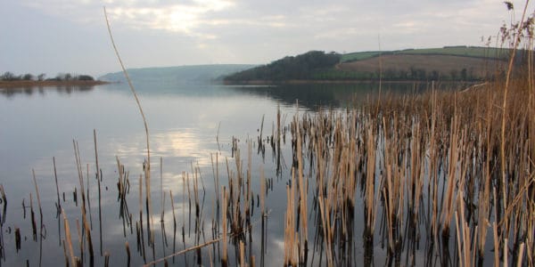 Slapton Ley National Nature Reserve – Field Studies Council
