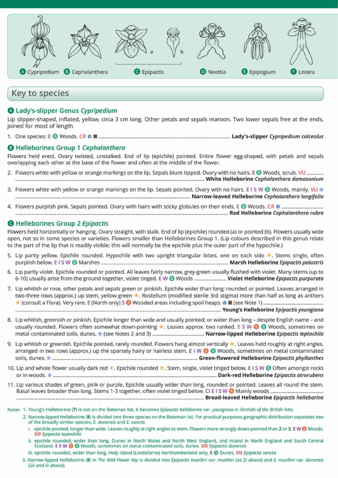 British Orchids Identification Guide | FSC Orchids Guide