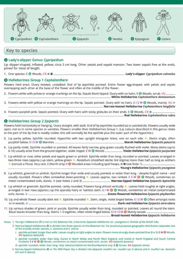 British Orchids Identification Guide | FSC Orchids Guide British Orchids Identification Guide | FSC Orchids Guide