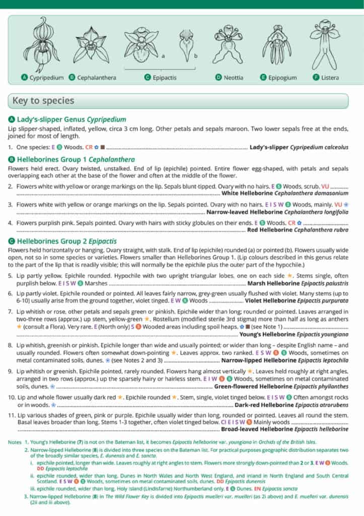 British Orchids Identification Guide | FSC Orchids Guide
