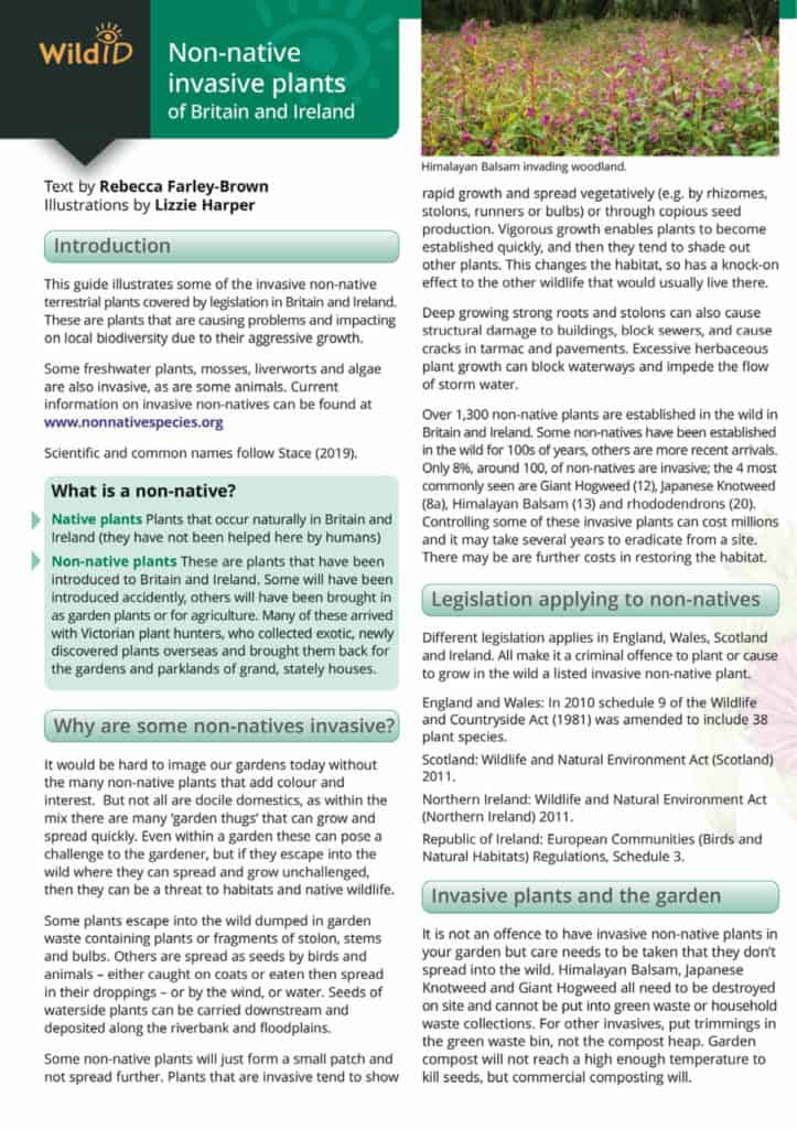 Non-native invasive plants guide – Field Studies Council