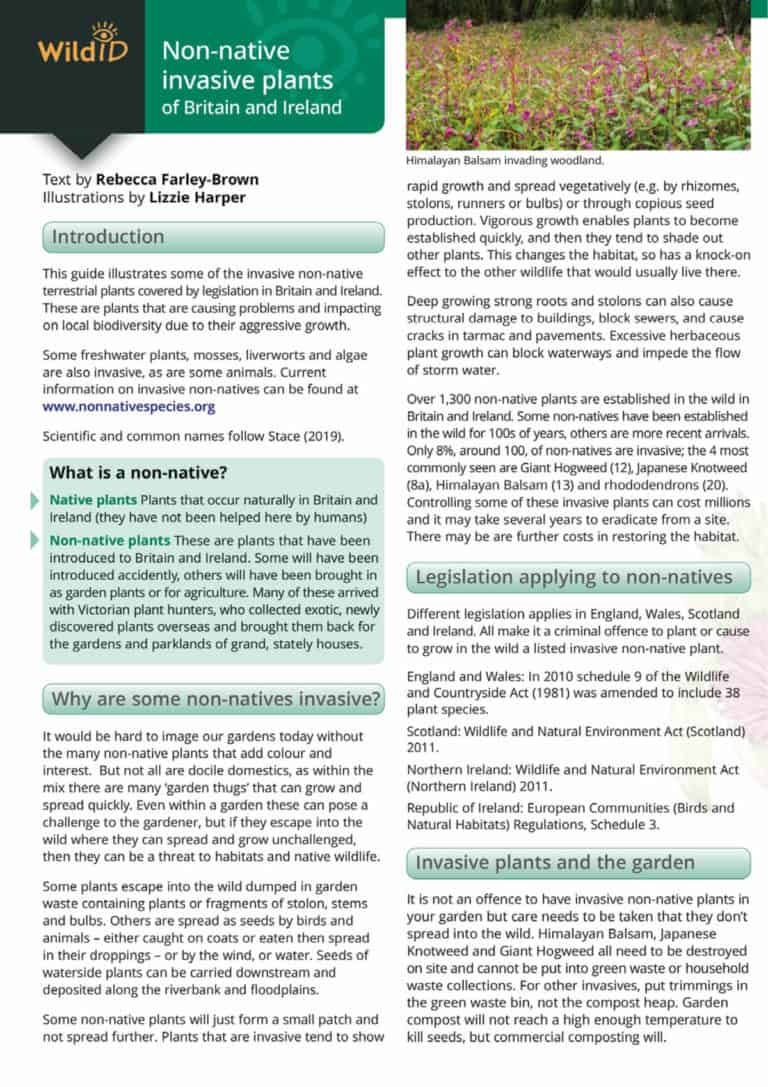 Non-native invasive plants guide – Field Studies Council