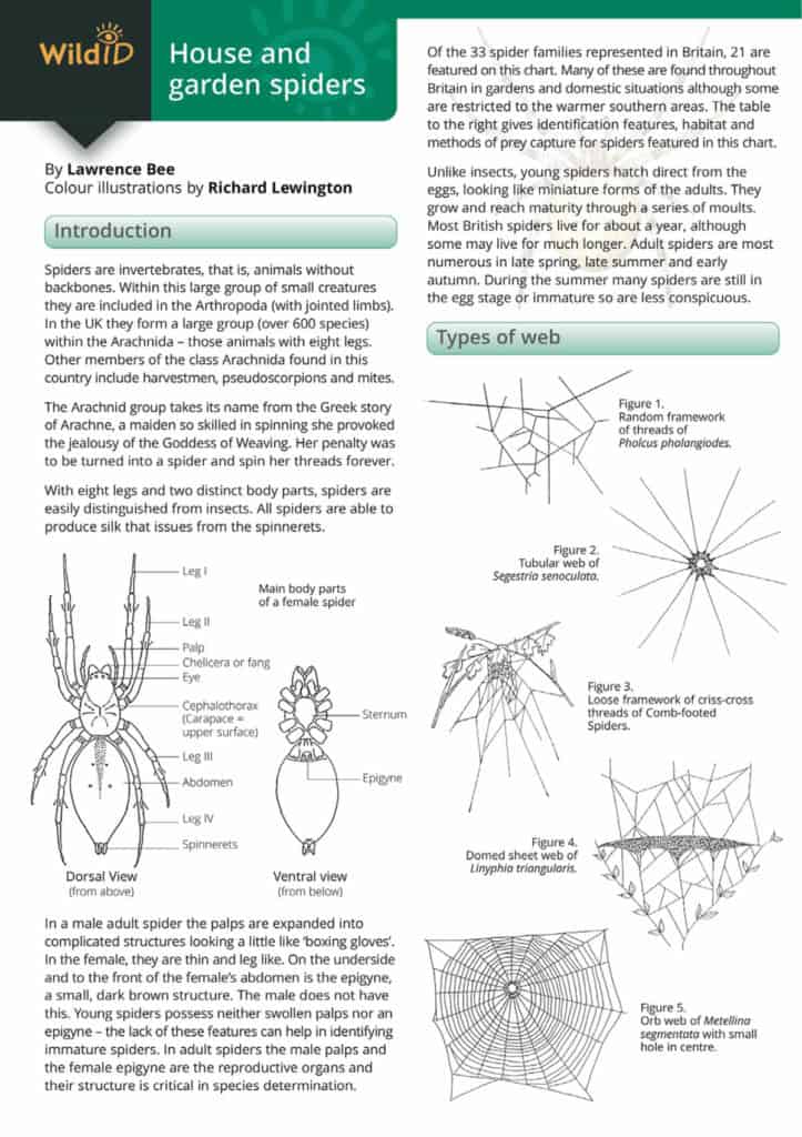 Spiders guide – Field Studies Council