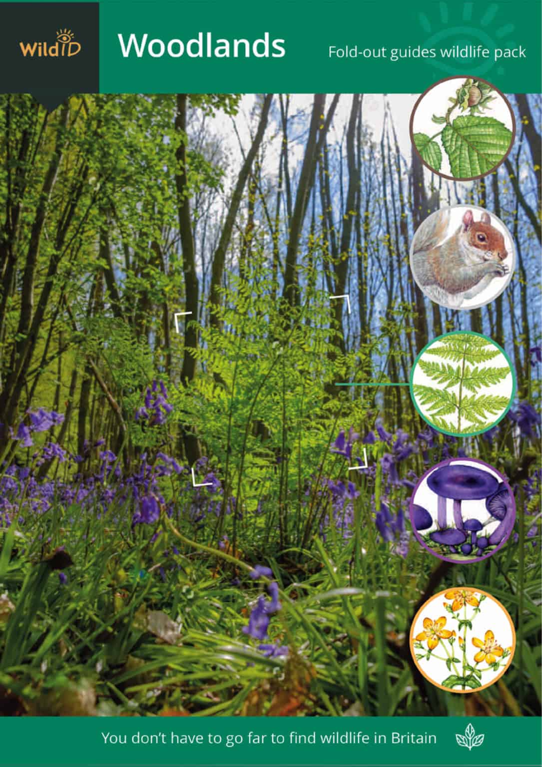 Woodlands wildlife pack – Field Studies Council