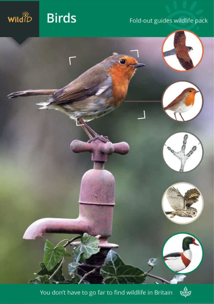 Birds wildlife pack – Field Studies Council