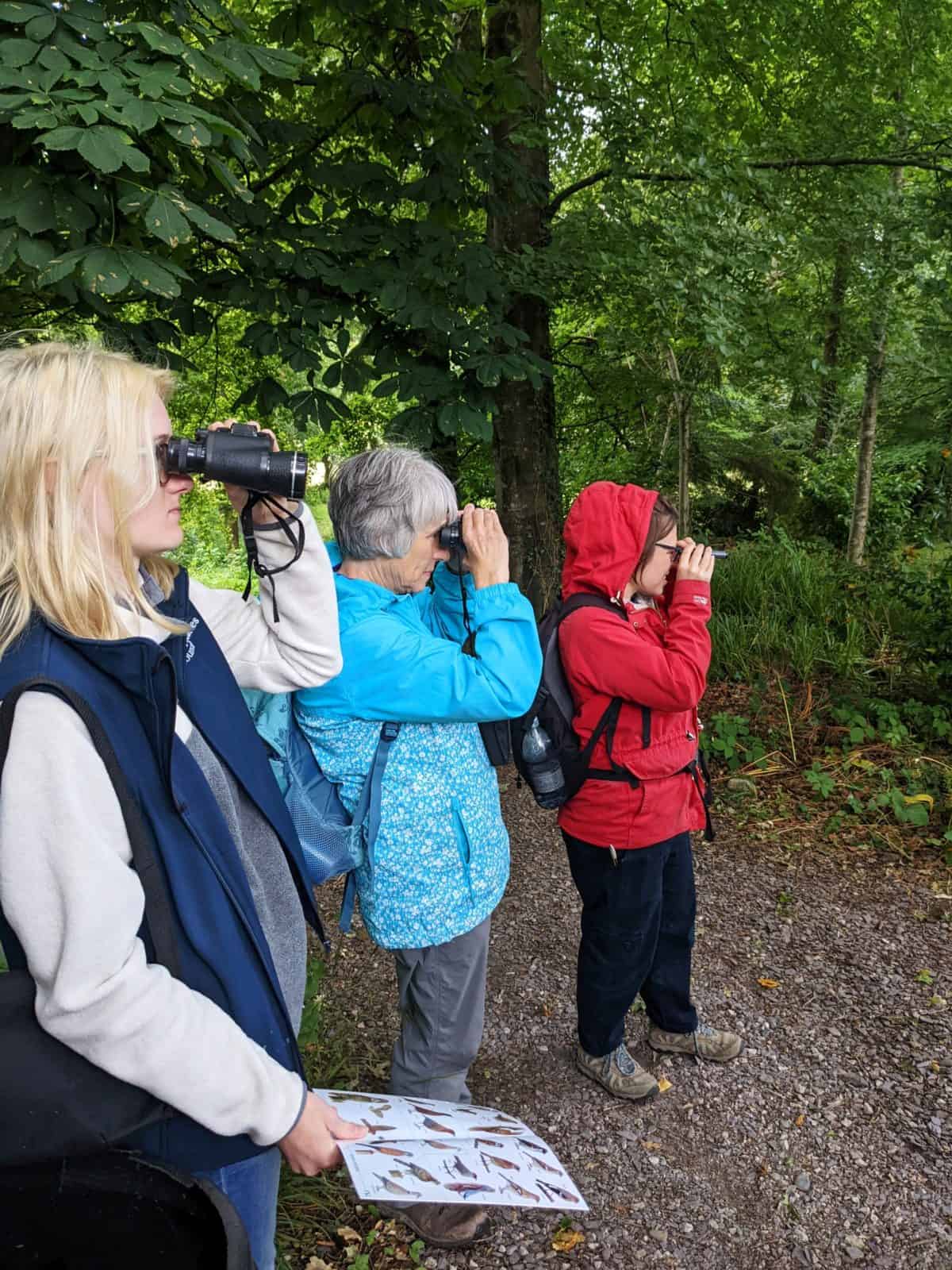 Identifying Summer Birds in Snowdonia National Park – Field Studies Council