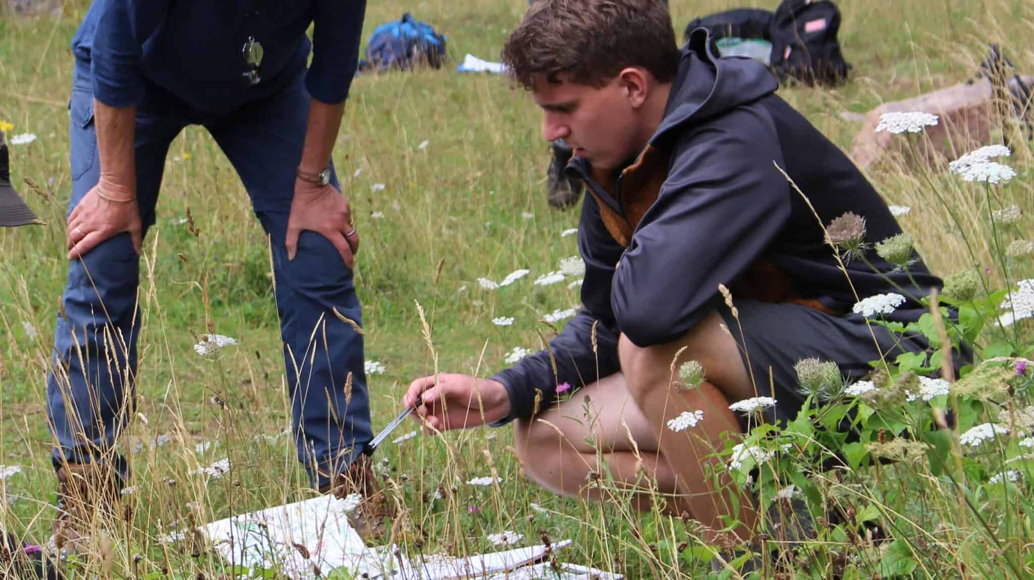 Habitat Surveying: An Introduction – Field Studies Council