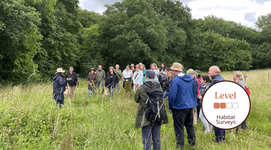 Introduction to UK Habitat Surveying - 28/01/2023 – Field Studies Council