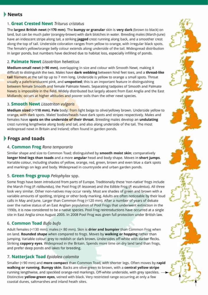 Reptiles and amphibians guide – Field Studies Council