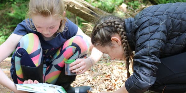 Epping Forest Field Centre – Field Studies Council