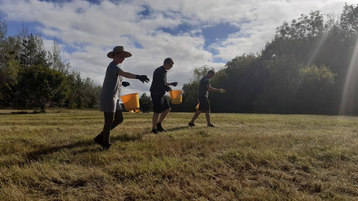 B-lines: Building the Insect Super-highway (Guest Blog From Kate Jones ...