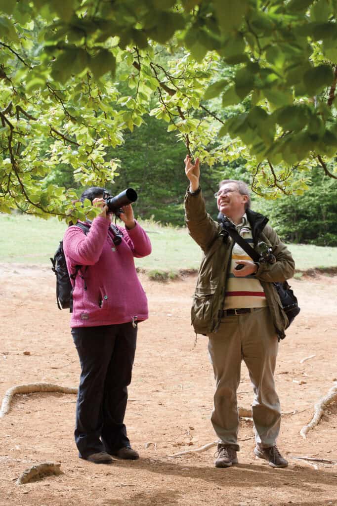 Explore Epping Forest: Spring Photography – Field Studies Council