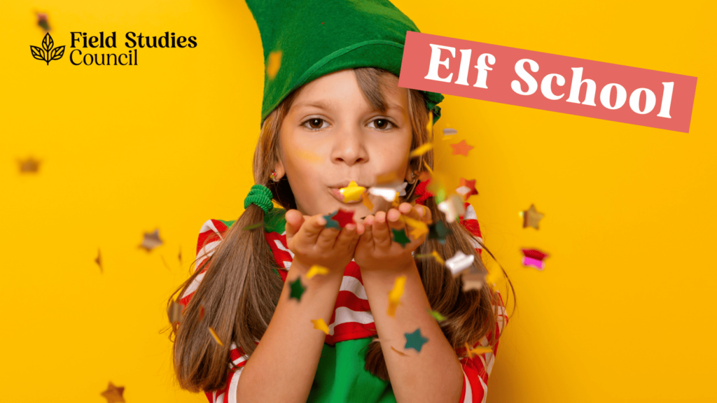 Elf School With The Field Studies Council