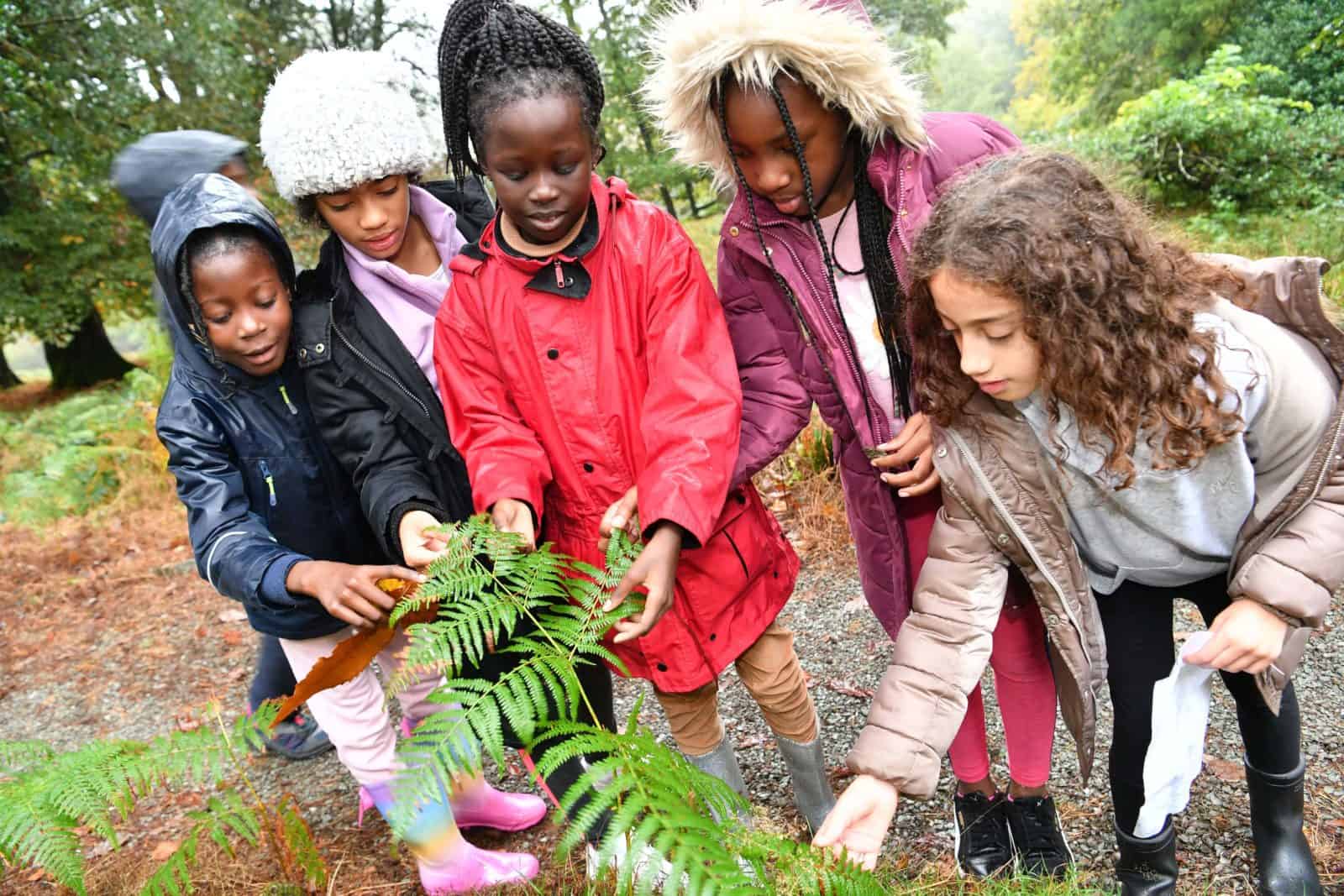 Ground-breaking Generation Green project exceeds projected reach ...