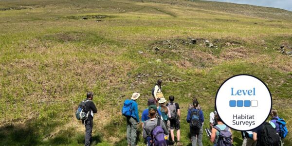 Habitat Survey Courses | NVC and HABUK | Field Studies Council