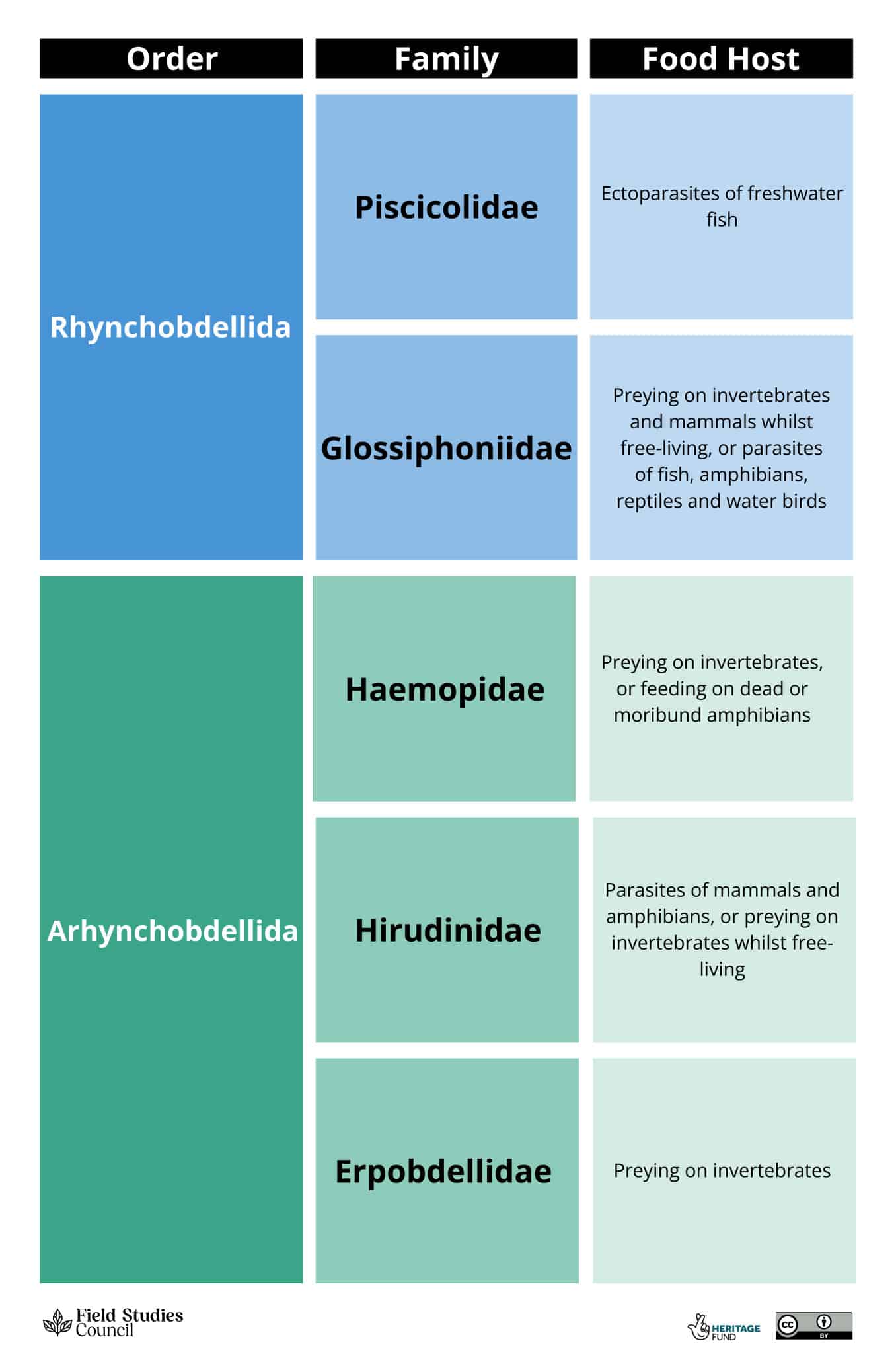 Freshwater Leeches - Identification and Ecology – Field Studies Council