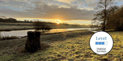 NVC: Winter Habitat Survey - Understanding and Describing Plant ...