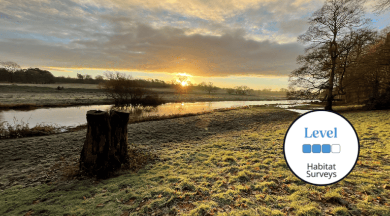 Biodiversity Courses – Field Studies Council