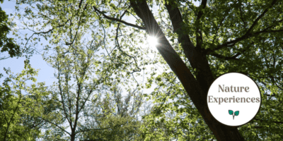 Tree Identification Courses | Beginner to Advanced | FSC