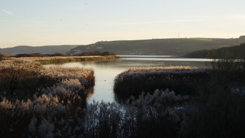 Painting Courses and Holidays in the British Countryside | FSC