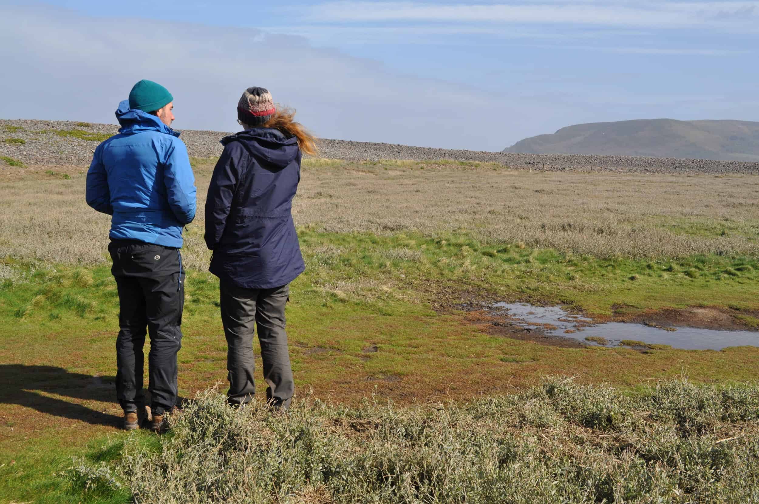 Habitat Survey Courses | NVC and HABUK | Field Studies Council