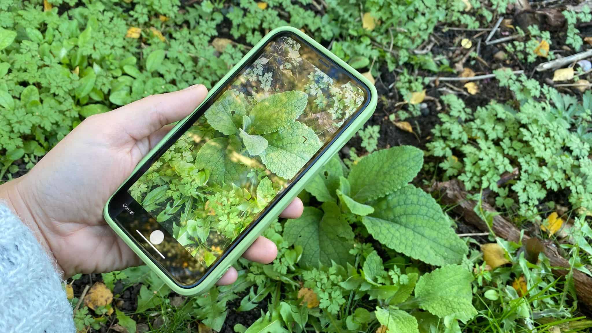 Discovering iRecord - Online – Field Studies Council