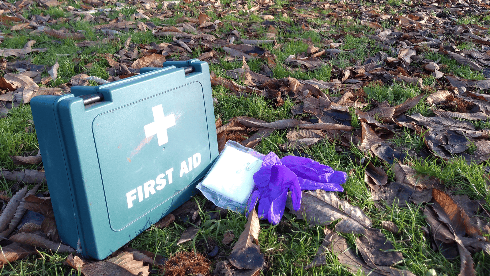 First Aid for Outdoor Educators | Field Studies Council
