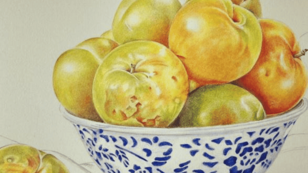 Botanical Illustration Using Coloured Pencils – Field Studies Council