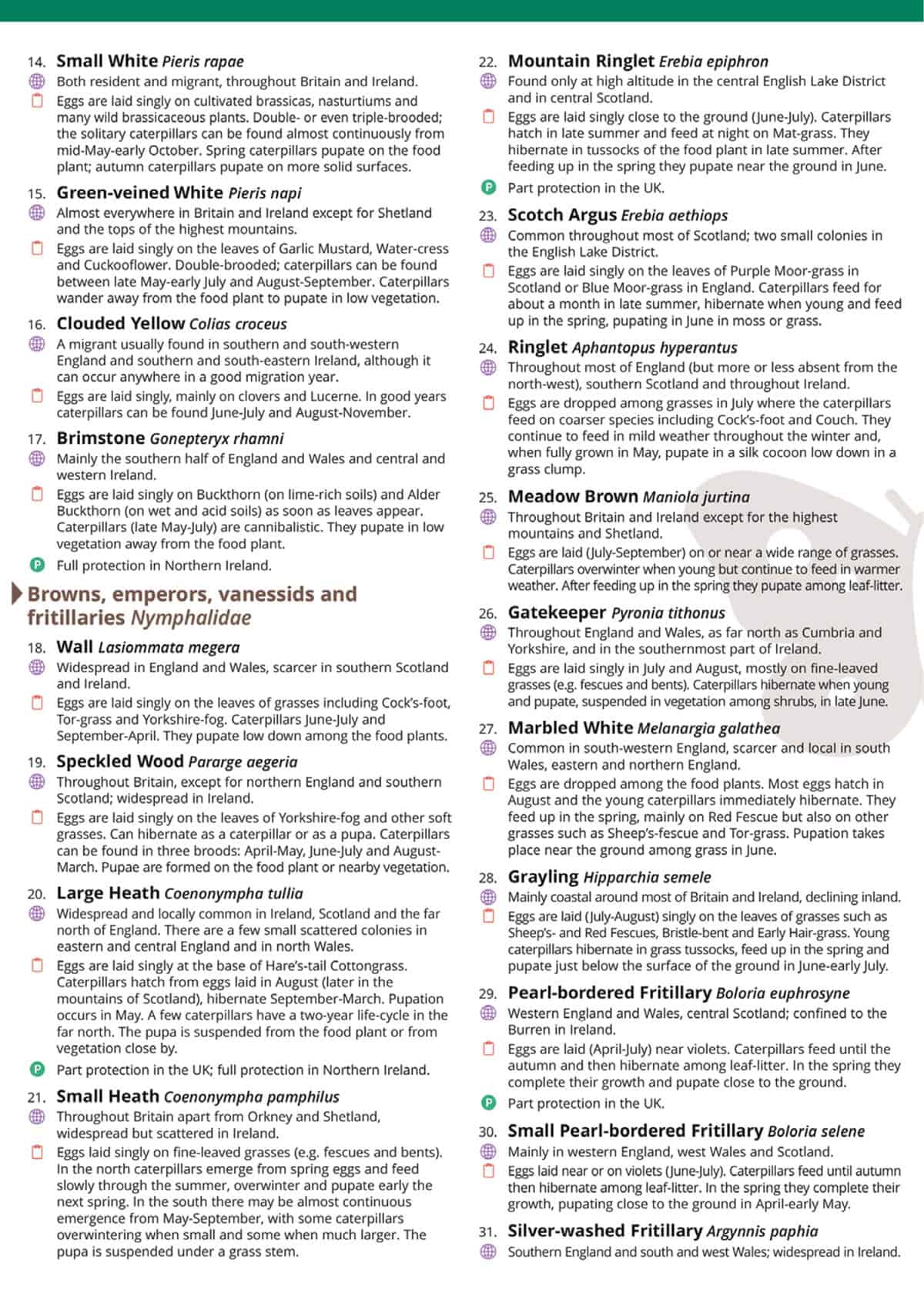 British Caterpillar Identification Guide | FSC Caterpillar Field Guide