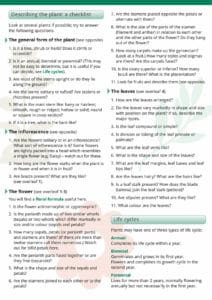 Describing flowers – Field Studies Council