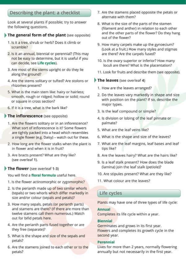 Describing flowers – Field Studies Council