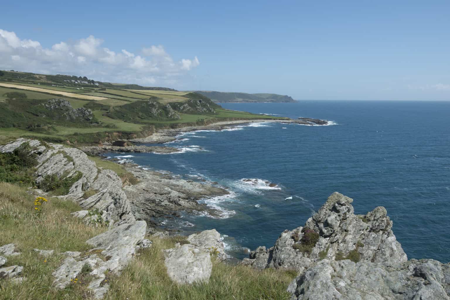 A Field Study of the Geology, Botany and Marine Biology in South Devon ...