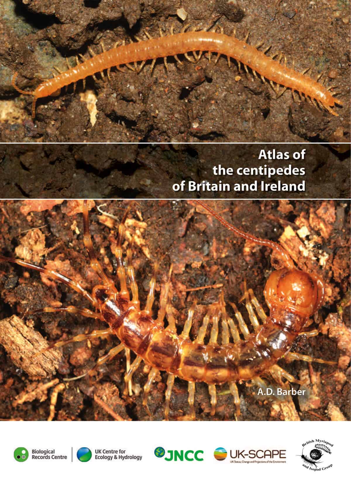 Centipedes atlas – Field Studies Council