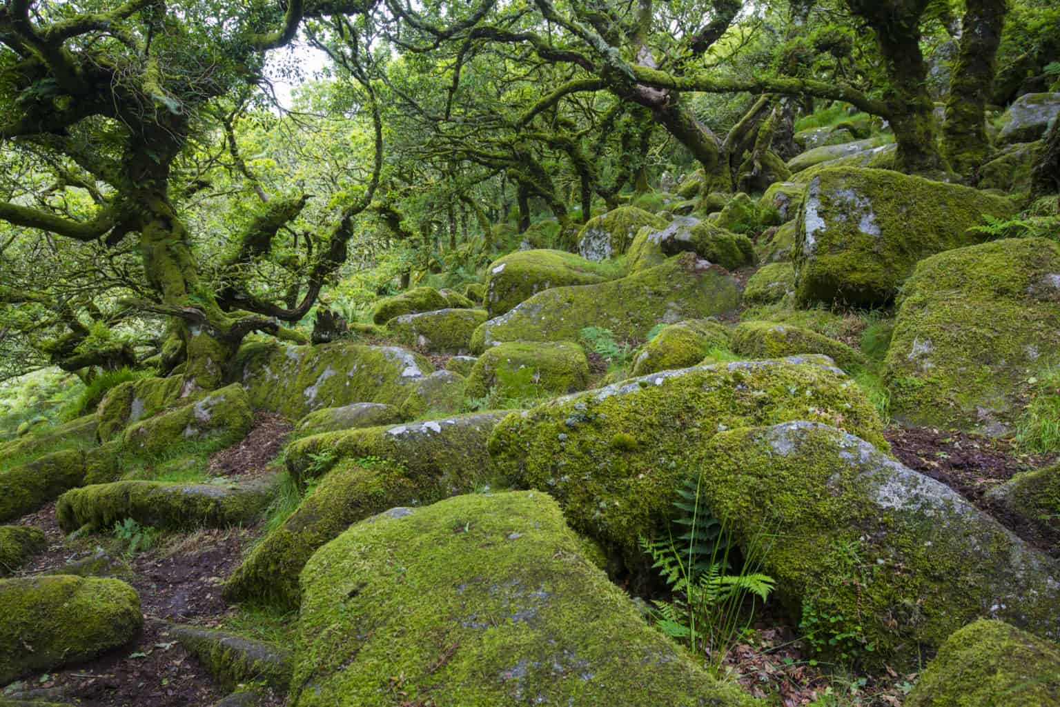 Biodiversity Courses – Field Studies Council