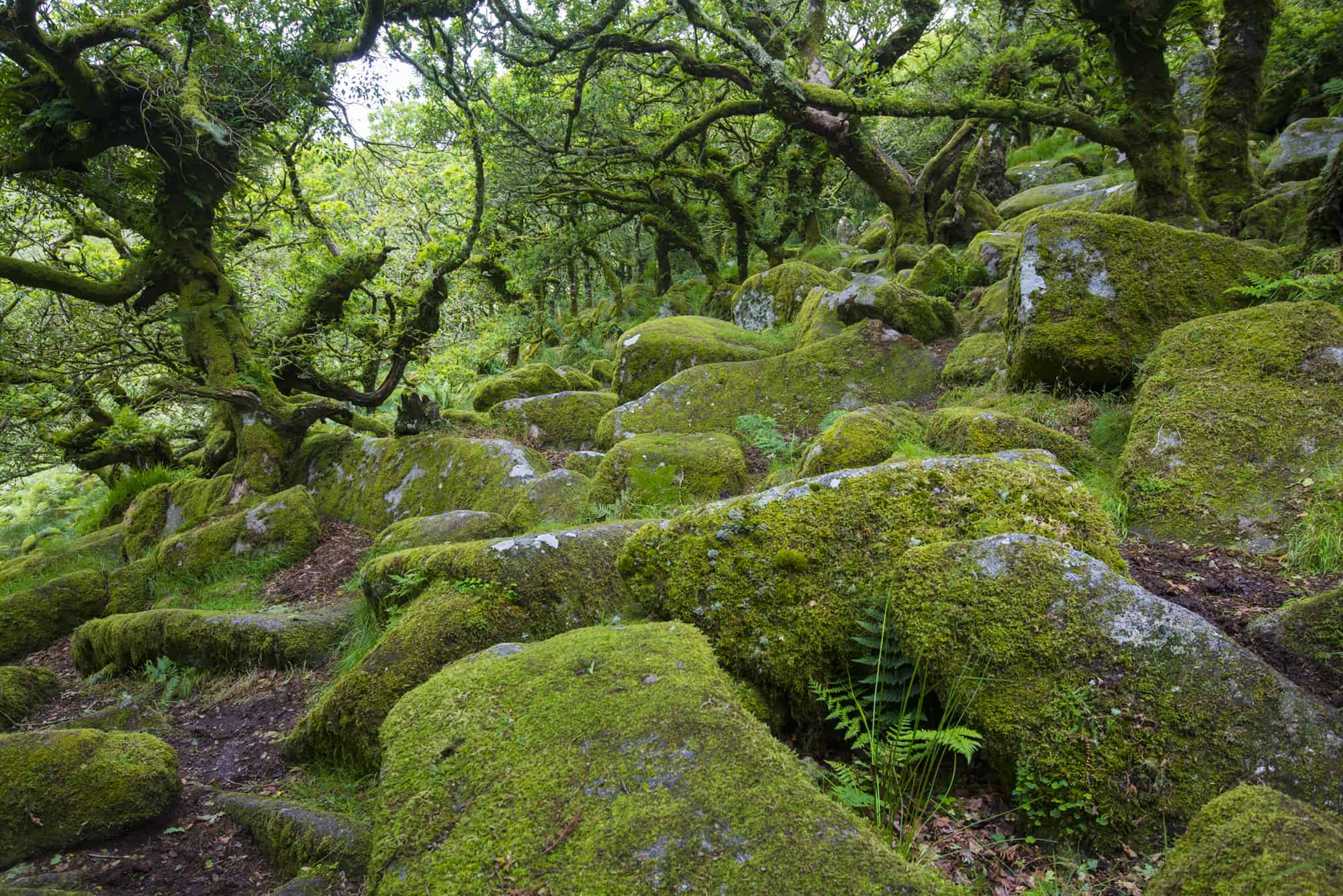 Biodiversity Courses Field Studies Council