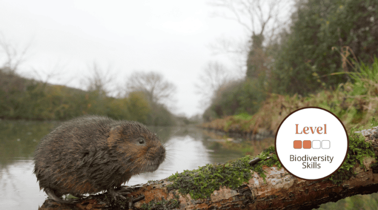 Bats guide – Field Studies Council