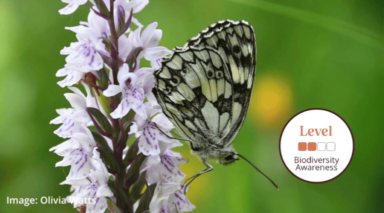 Biodiversity Courses – Field Studies Council