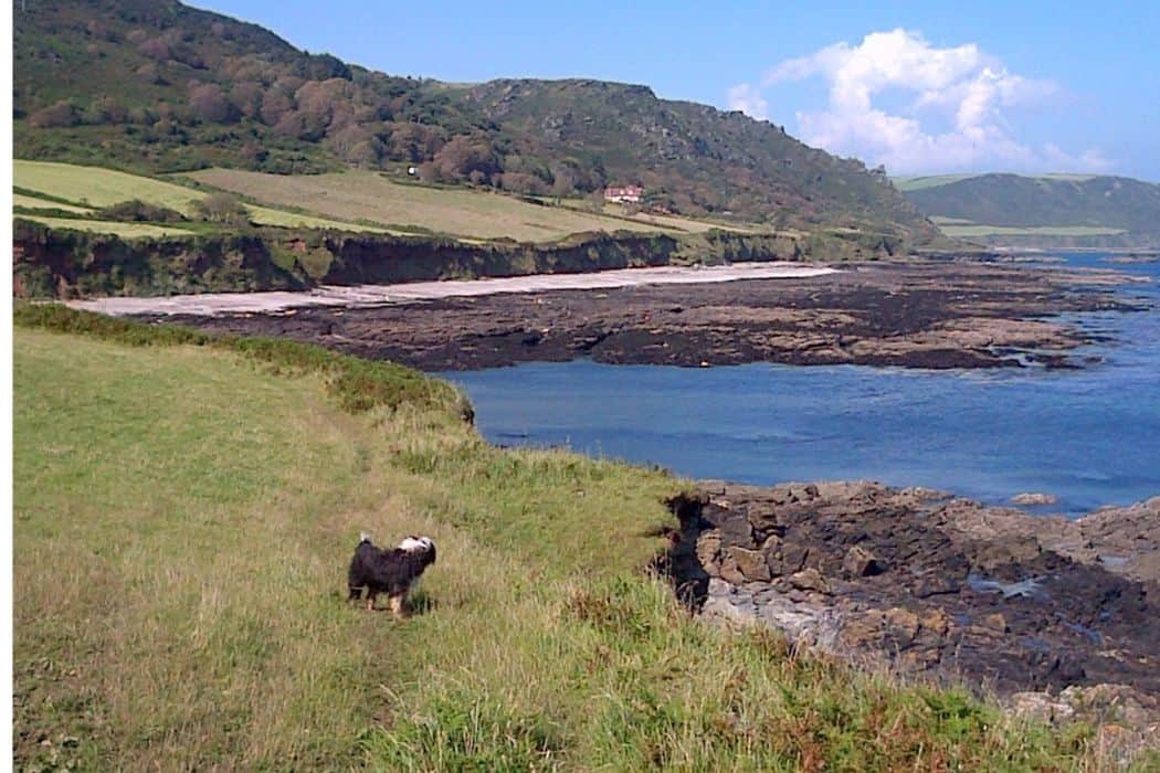 A Field Study of the Geology, Botany and Marine Biology in South Devon ...