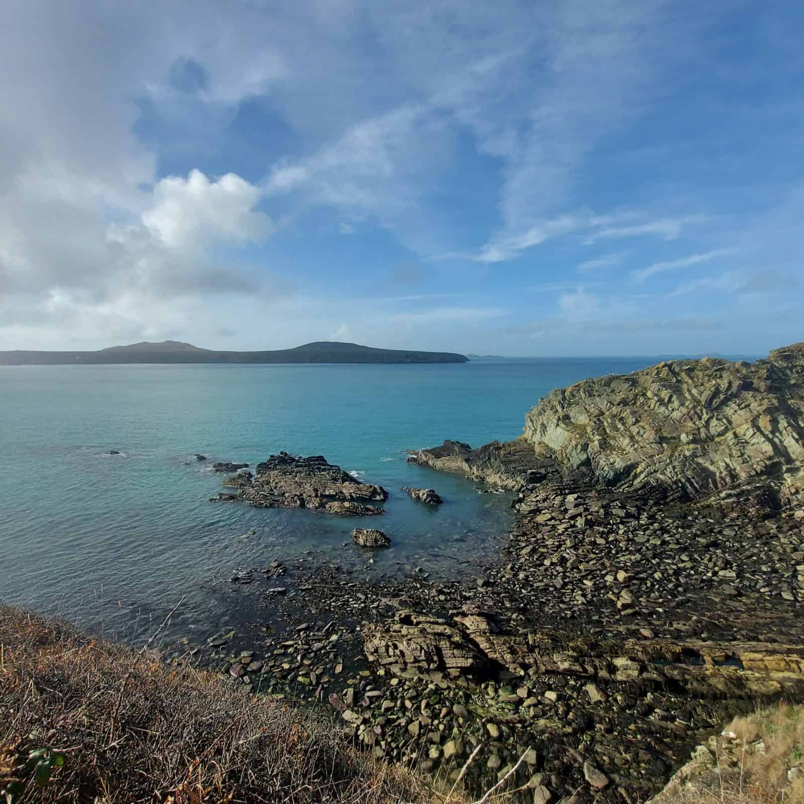 The Marine Science Camp Experience at Dale Fort – Field Studies Council