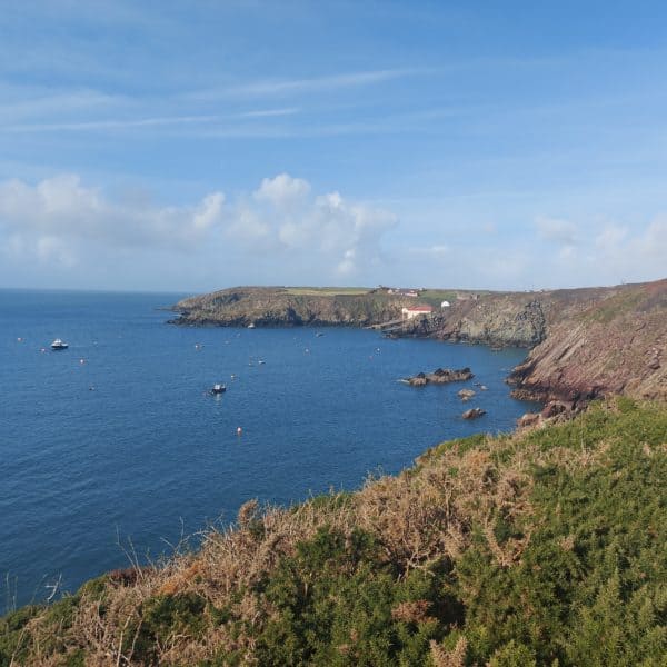 The Marine Science Camp Experience at Dale Fort – Field Studies Council