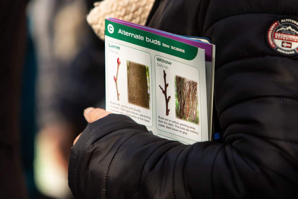 Free Tree Guides – Field Studies Council