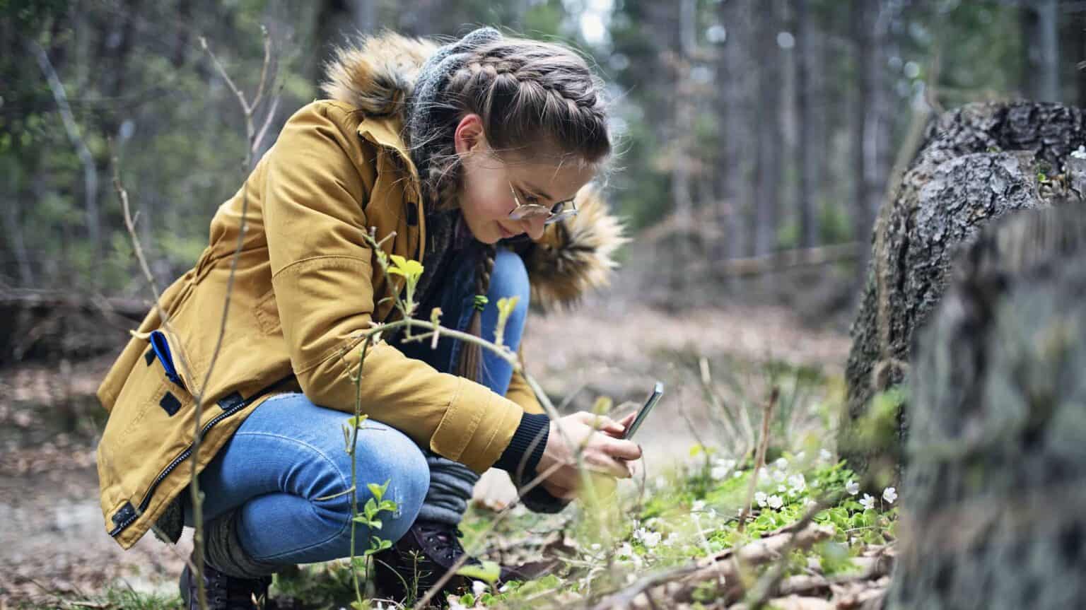 Free Tree Training - Trees for Climate Action – Field Studies Council