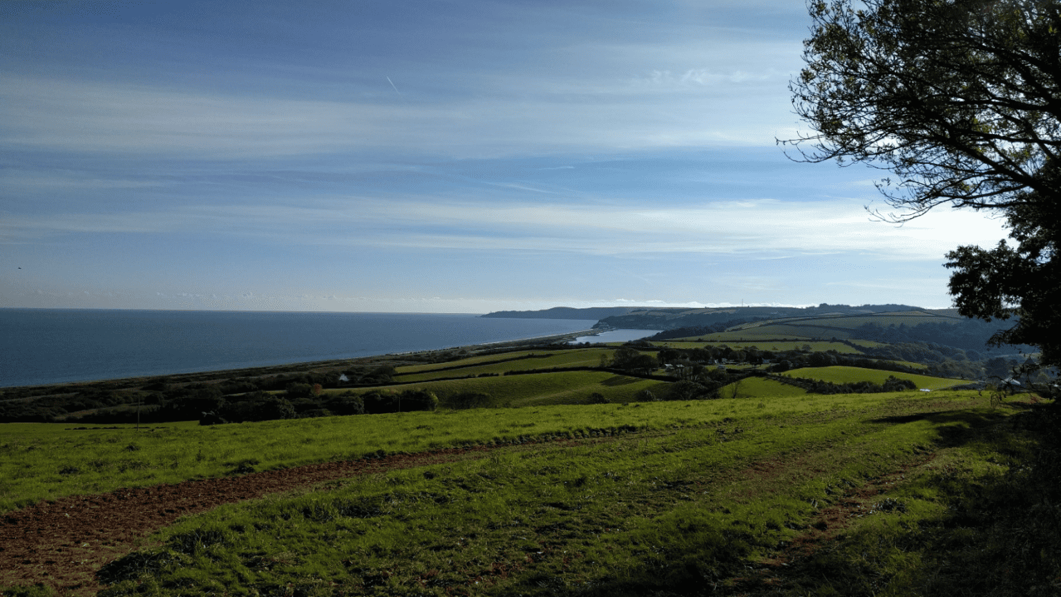 What's On at Slapton Ley – Field Studies Council